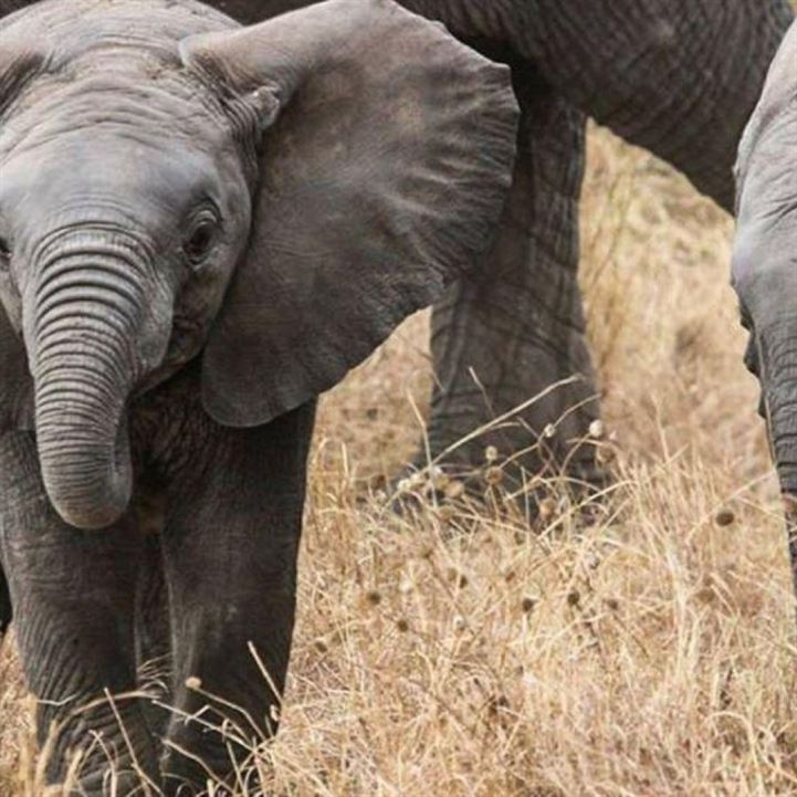 TOP STORY 2021 | Studiu: Mutație genetică, tot mai des întâlnită. Cum ...